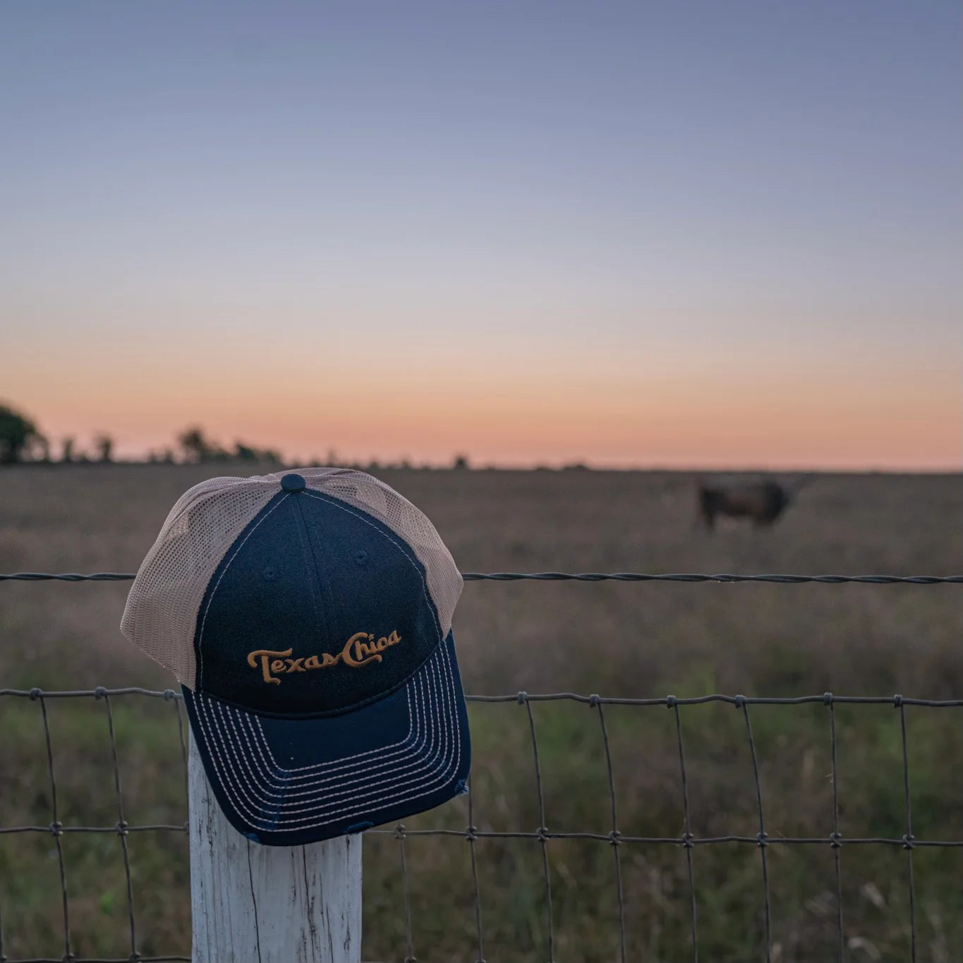 Tumbleweed Texstyles Texas Chica Trucker Hat – G3 Mercantile